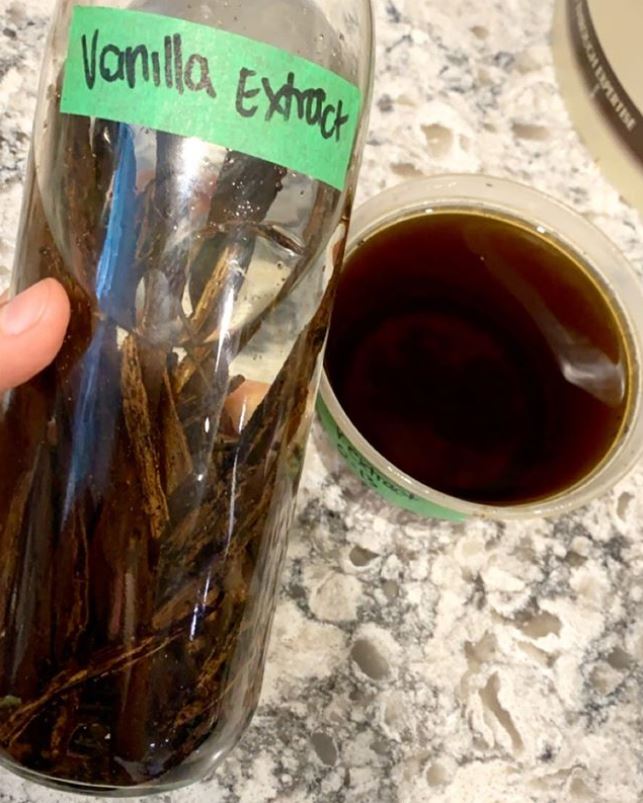 Vanilla Extract: Everything You Need To Know – Cocoa40 Inc.